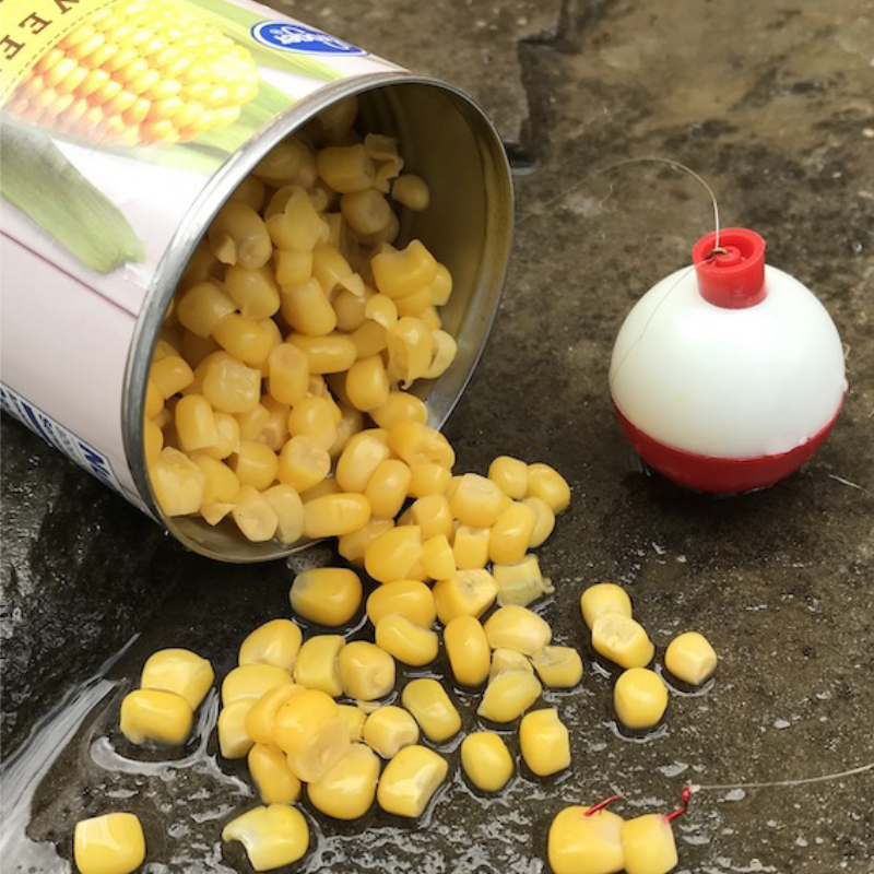 Prodavnica ribolovačke opreme - Kaugler - Uhvati najbolje!